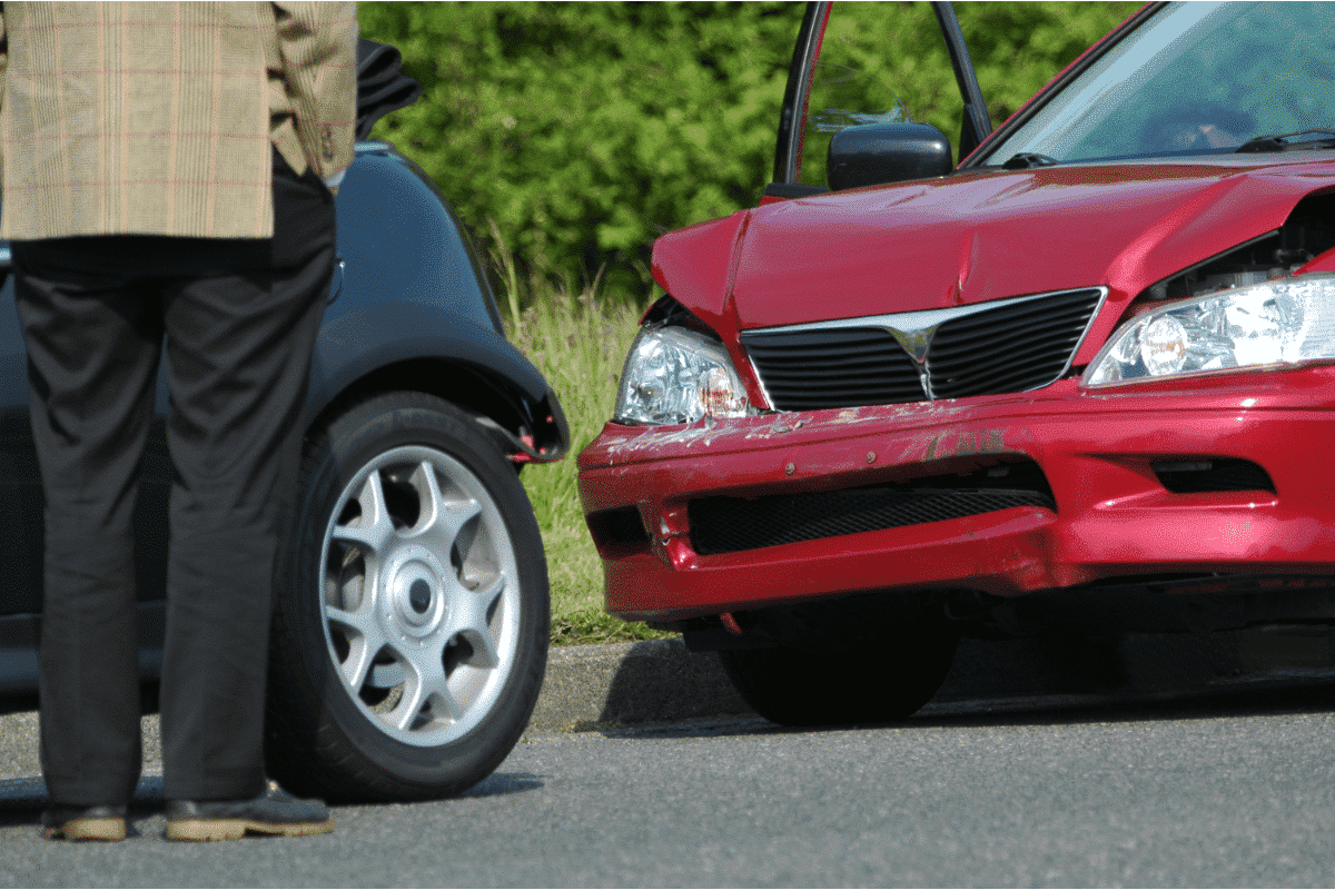 It's deer vs. car accident season in West Virginia | Warner Law Offices ...