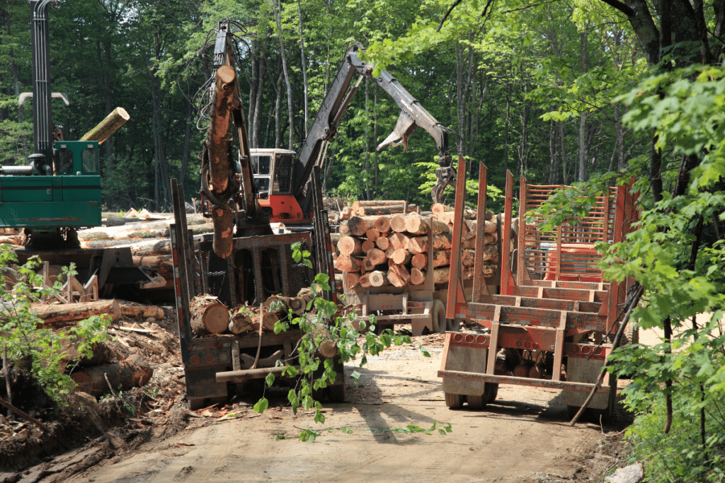 Charleston Logging Accident Lawyer | Logging Accidents in West Virginia